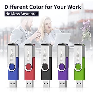 USB Flash Drive, Bilious Swivel Metal Style Thumb Drives with Led Indicator, Portable Fold Memory Stick Keychain Design U Disk (2GB, 10 Pack)