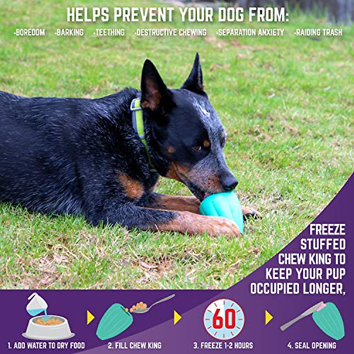 Chew King Premium Treat Dog Toy, XL, Extremely Durable Natural Rubber Toy, Pack of 2, All Breed Sizes