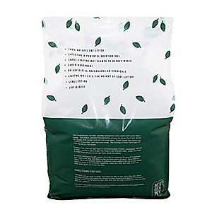 Next Gen Pet Green Tea Fresh Cat Litter 5 Pound Bag