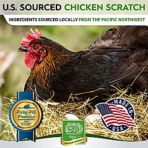 Small Pet Select Sustainable Chicken Scratch, Non-GMO, Corn Free, Soy Free. Locally Sourced & Made in Small Batches. 10 lb