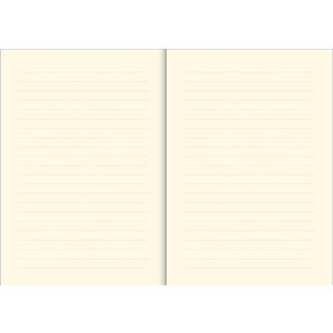 Constellations Journal (Diary, Notebook)