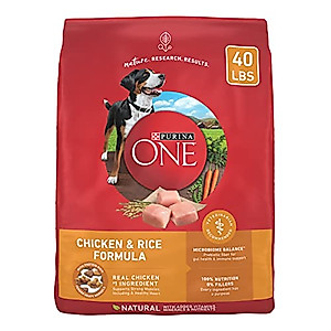 Purina ONE Chicken and Rice Formula Dry Dog Food - 40 lb. Bag