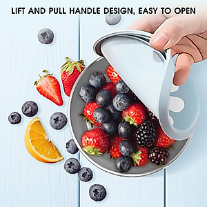 Hippywell Stainless Steel Food Containers with Silicone Lids, Leakproof Metal Lunch Box Set for Kids, Snack Boxes for Travel, 5Pcs Stainless Steel Containers, 1.7OZ up 23OZ