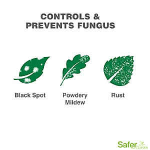 Safer Brand Garden SG5180 Insect Killing Fungicide, Miticide, and Insecticide Neem Oil Spray – Kills Insects & Mites – Controls & Prevents Fungal Disease – OMRI Listed for Organic Use – 24 oz