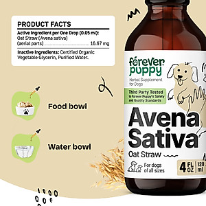 Avena Sativa Drops for Dogs - Calming Support for Dogs w/Oat Straw Herb - Herbal Alternative to Calming Chews for Dogs - Liquid Dog Vitamins for Brain Relaxation, Calm Mood & Composure - 4 oz