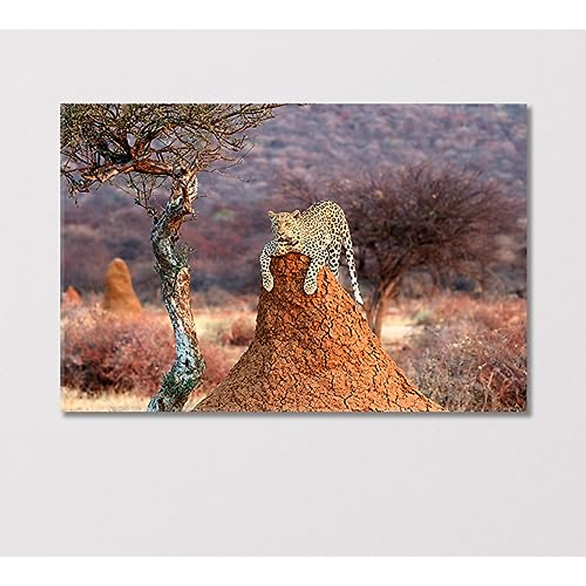 Leopard on a Termite Hill Namibia Africa Canvas Print 1 Panel / 36x24 inches