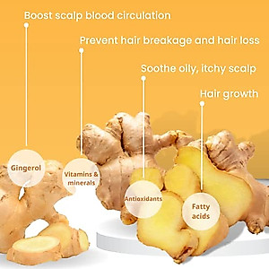 Muun Shampoo Bars and Conditioner Set 3 - Ginger & Coconut - Hair Growth, Anti Hair Loss, Hair Regrowth, pH Balanced- Solid Soap Easy for Travel - Sulfate & Silicone Free