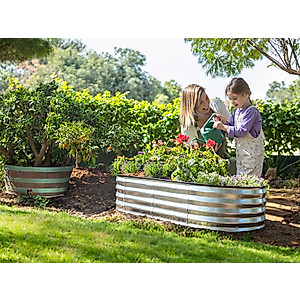 Galvanized Raised Garden Beds Outdoor // 4×2×1 ft Planter Raised Beds for Gardening, Vegetables, Flowers // Large Metal Garden Box (Silver) // Patent Pending Tool-Free Assembly