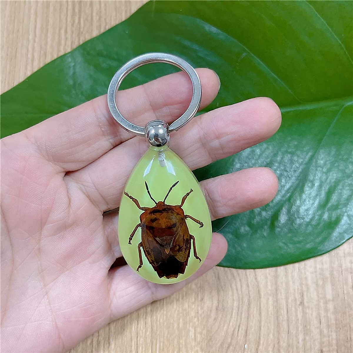 QTMY 6 Pack Insect in Resin Specimen Collection Luminous Glow in The Dark Keychain Keyring ,Halloween Christmas Science Classroon Decor Kits Set Education