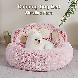 Jiupety Cozy Comfy Small Dog Bed | Upgraded Soothing Paw Donut Bed | L Size 26" × 26" × 8" | Creative Bear Paws Design