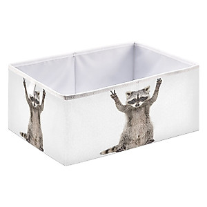 Kigai Raccoon Say Yeah Cube Storage Bins - 11x11x11 In Large Foldable Storage Basket Fabric Storage Baskes Organizer for Toys, Books, Shelves, Closet, Home Decor