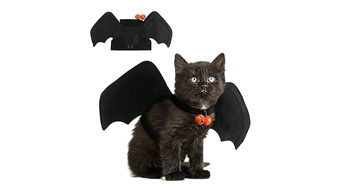 Cute Cat Bat Costume for Halloween - DIYASY