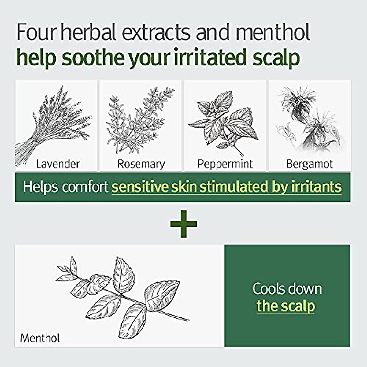 Bouquet Garni NARD Scalp Deep Cleansing Shampoo 33.8 Fl Oz - Natural Surfactant Anti Dandruff Shampoo for Itchy Dry Scalp - Natural Calming Ingredients Lavender Rosemary Argan Jojoba Oil Amino Acids