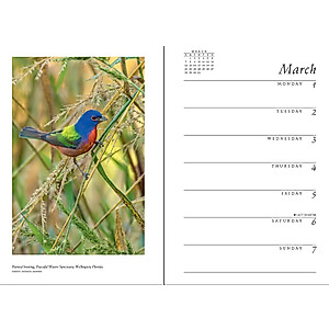 Sierra Club Engagement Calendar 2021