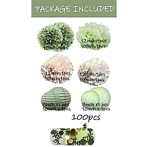 Sage Green hanging Party Decorations for Baby Bridal Shower Boho Wedding Birthday Supplies in Wall Decor with Tissue pom poms and Lanterns (Boho green)