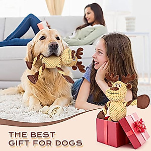 BUYPOW 5pack Dog Toys for Large Dog - Squeaky Medium & Small Dog Toys (Elk)