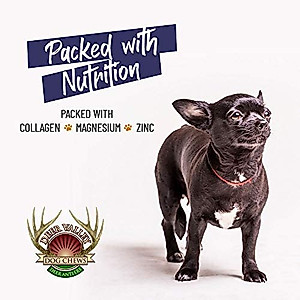 Deer Valley Dog Chews (Small 5-7 Inches, 6 Pack) Premium Deer Antler for Small Dogs - Long Lasting Dog Bone for Teething and Chewing - Organic, Odorless, Naturally Shed, USA