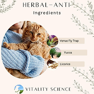 Herbal Anti for Dogs - Promotes a Normal Inflammatory Response