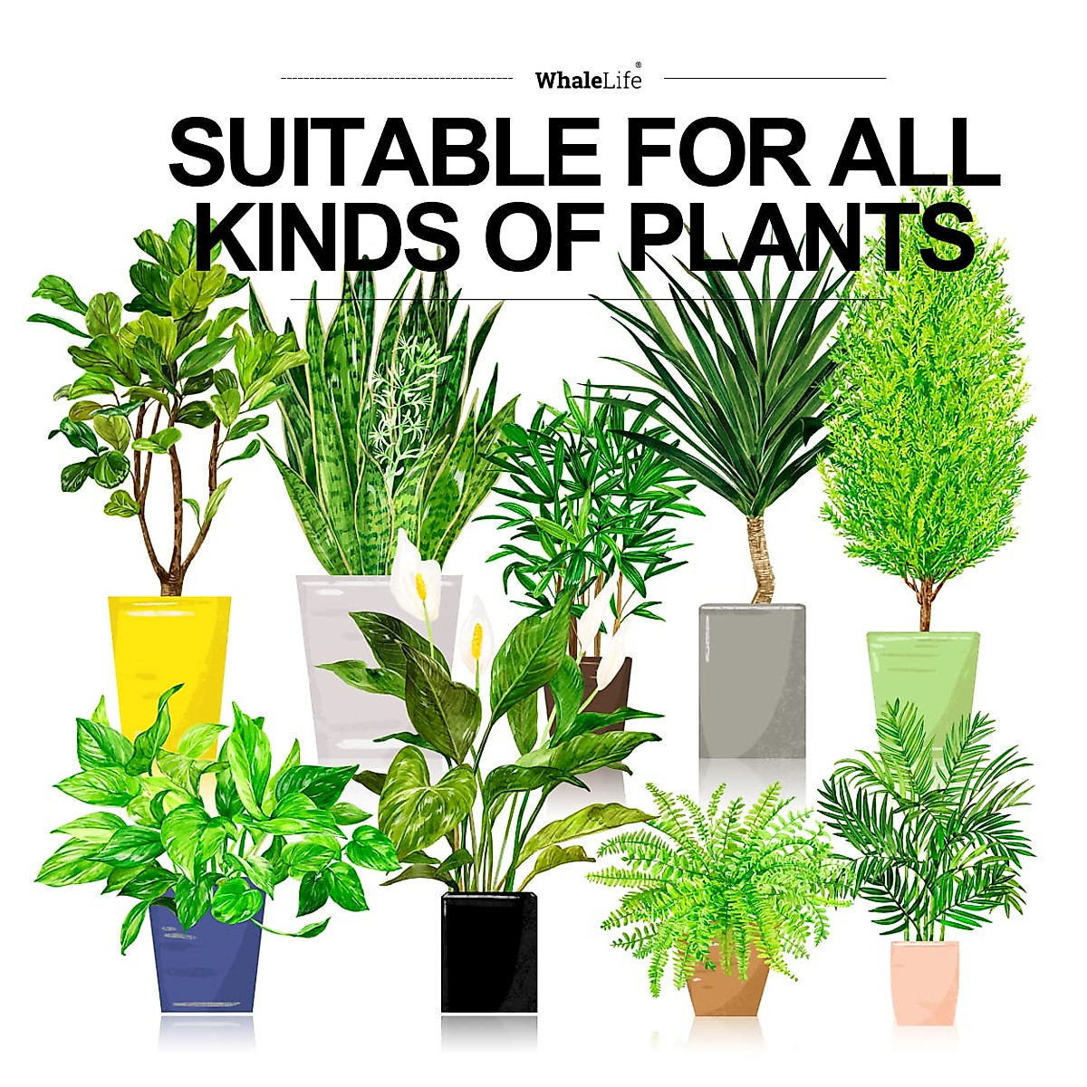 WhaleLife Indoor Watering Can for House Bonsai Plants (2.0L, Terra-Cotta Red)