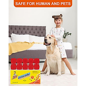 Dawhunt Cockroach Gel Bait Roach Killing Gel for Indoor and Outdoor Use