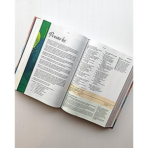 NLT Courage For Life Study Bible for Women (Hardcover, Filament Enabled)
