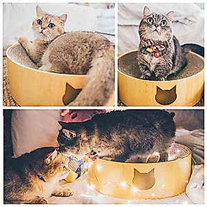 Necoichi Cozy Cat Scratcher Bowl, 100% Recycled Paper, Chemical-Free Materials (Bowl (Oak), Regular)