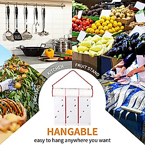 Giant Fly Traps Sticky Fly Trap Roll 30 Feet MAX Strength Fly Catcher, Non Toxic, Poisonous Bug Insect Sticky Flies and Other Bugs, Indoors & Outdoors 1PCS, white