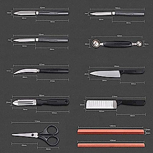 Hovico 18PCS Portable Vegetable Fruit Food Cake Carving Knife Peeling Culinary Kitchen Sculpting Modeling Tools Kit for Chef DIY with Carry Box