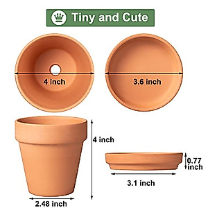 4 Inch Terracotta Pots with Saucer - 6 Pack Small Clay Plant Pots with Drainage Holes, Flower Pots with Tray, Terra Cotta Pots for Indoor Outdoor Plants, Crafts, Wedding Favor