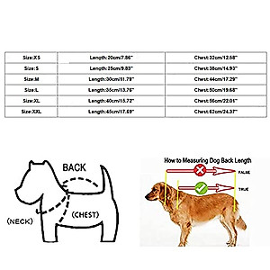 Dog Clothes Large Girl Medium-Sized Cats Dogs Two-Legged Love and Velvet Sweater Dogs Pet Clothes