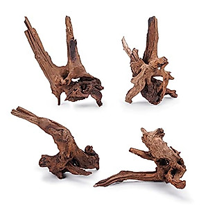 LANDEN Panna Natural Driftwood for Aquarium Decor Freshwater Fish Tank(12-14 inches, 30-35cm) 4pcs Terrariums Vivariums Reptile and Amphibian Enclosures Lizard Bearded Dragon Tortoise Various Shapes