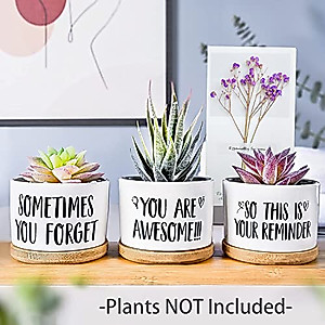 Birthday Gifts for Women, Friend Gifts for Women, Gifts for Her, Sister Gifts, Funny Gifts for Women Unique Gift Ideas for Mom Men Awesome Succulent Pots 3PCS