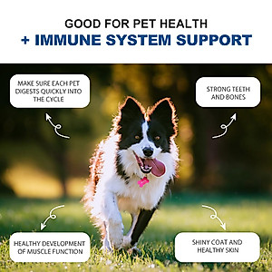 Chinichu Multivitamin Treats for Dogs - Glucosamine Chondroitin for Joint Support + Digestive Enzymes & Probiotics - Grain Free Dog Vitamin for Skin & Coat + Immune Health - Salmon Flavor - 120 Count