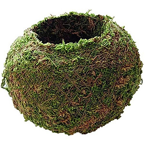 Moss Ball Flower Pot Natural Planter Bonsai Plant Holder Bird Nest for DIY Gardening Home Table Decoration - 12cm