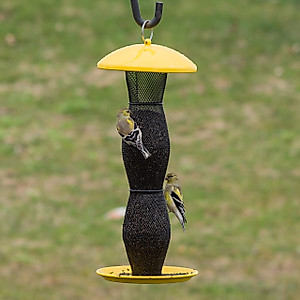 Perky-Pet Yellow & Black YB5F00340 Finch Tube Wild Bird Feeder