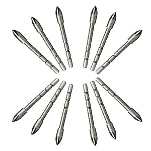 12 pcs 80/100/120 Grain Steel Bullet Point Tip for ID 4.2mm Arrow Shaft Archery (100 Grain)