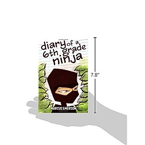 Diary of a 6th Grade Ninja