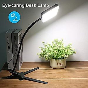 LED Desk Light, Video Conference Lighting Kits Clip on Laptop Monitor with Removable Clamp, 3 Color 10 Dimming Level for Webcam Lighting/Zoom Lighting/Remote Working/Reading/and Live Streaming