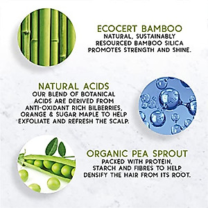 BAMBEAUTIFUL The Perfect Start Set – Proven to Help with The Reduction of Hair Loss & Promote Thicker, denser Hair in 90 Days When Used as Part of The Regime Including The Scalp Tonic.