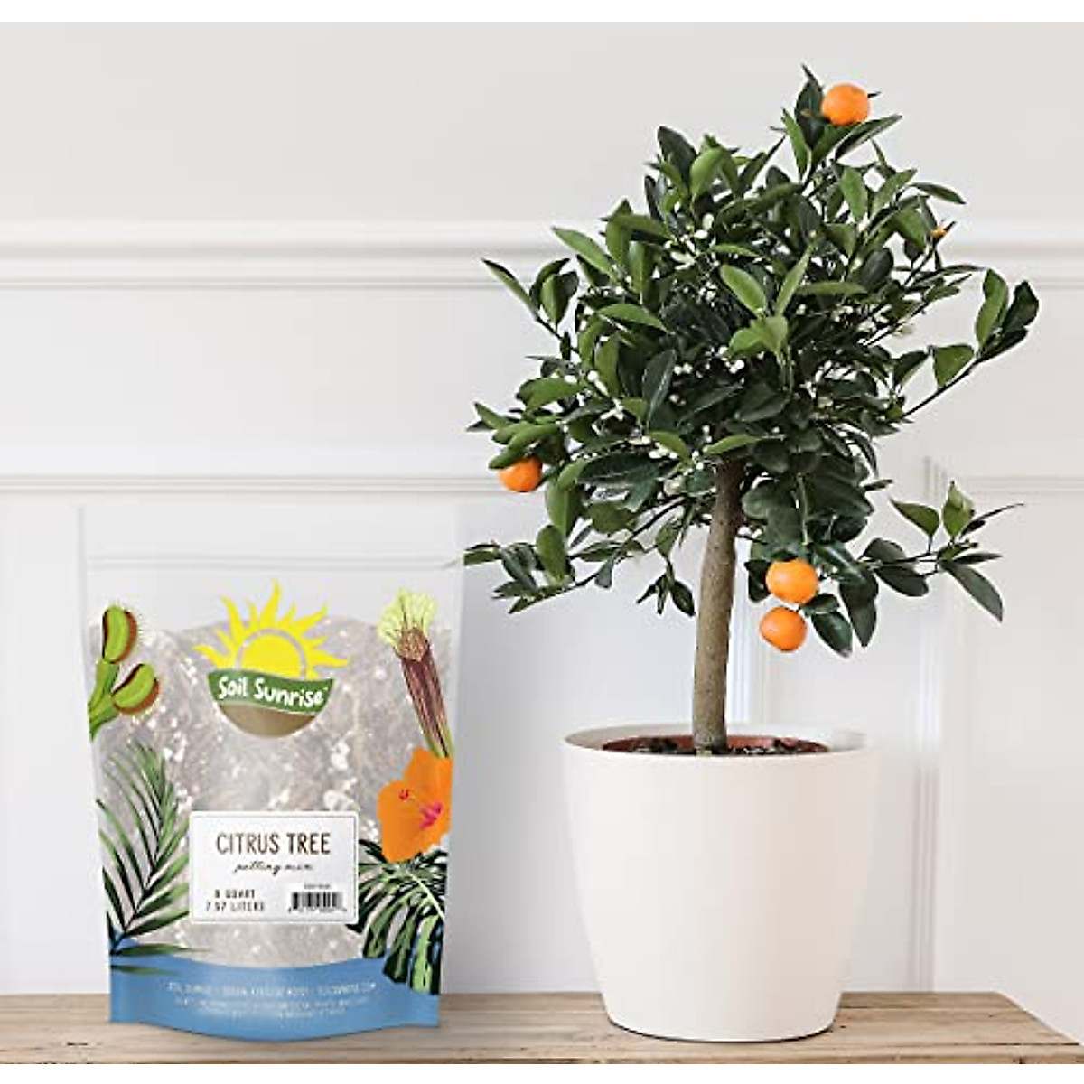 Citrus Tree Potting Soil Mix (8 Quarts), Special Blend for Indoor Oranges, Lemons, Limes and More