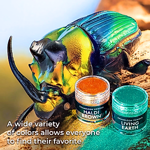 Chameleon Mica Powder – Epoxy Resin Color Pigment Powder - Color Shift Mica Powder - Epoxy Resin Pigment Powder 16 Colors Jars Set – Chameleon Powder - Holographic Mica Powder