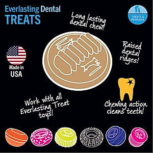 Everlasting Treat Medium Chicken Usa 3.6 Oz