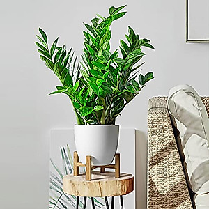 T4U 7 Inch Self Watering Planter with Bamboo Stand Set of 2, Plastic White Flower Pot for Indoor Herb Plant, Aloe, African Violet, Nursery Seedling Pot Round, Modern Decor for Home, Garden, Office