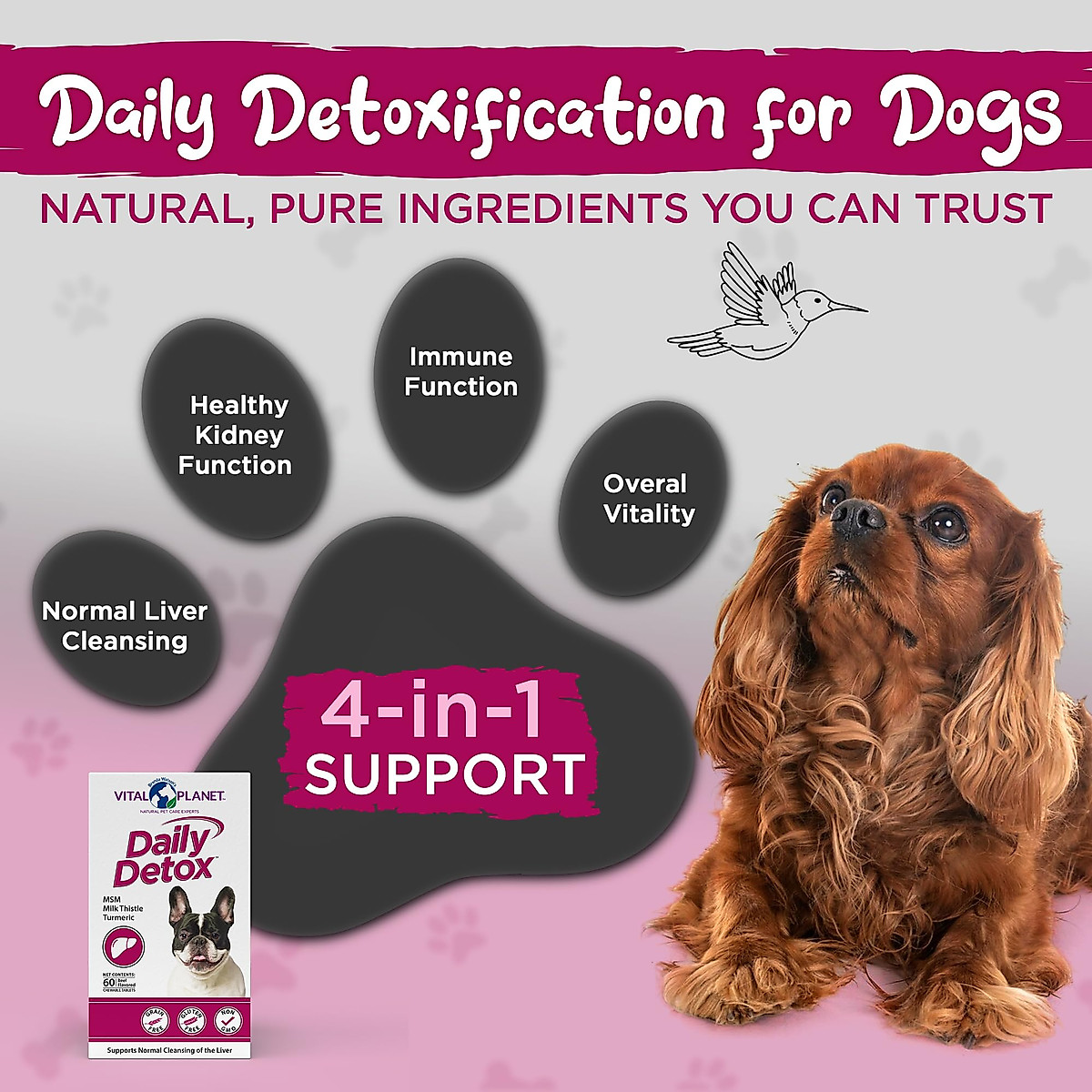 Vital Planet - Daily Detox for Dogs with MSM, Milk Thistle, Spirulina, and Turmeric, Supports The Immune System and Natural Cleansing of The Liver - 60 Beef Flavored Chewable Tablets