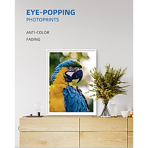 OIunendlich Compatible Epson 502 T502 Refill Ink Bottles Replacement for Epson Ecotank ET-2750 ET-3750 ET-4750 ET-2760 ET-3760 ET-4760 ET-2700 ET-3700 ET-3710 ET-15000 ST-2000 ST-3000 ST-4000 Printer