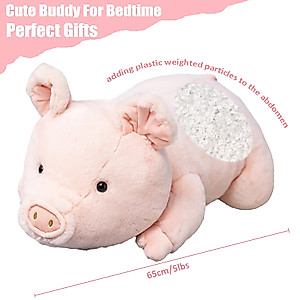 Weighted Stuffed Animals, 5lbs Weighted Pig Stuffed Animal Plush Toy Pink Pig Weighted Plush Animals Hugging Pillow Gifts for Kids and Adults, 25.2 inch