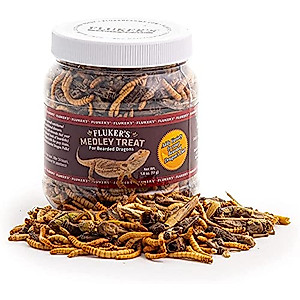 Fluker's Bearded Dragon Medley Treat Food 1.8oz - Includes Attached DBDPet Pro-Tip Guide