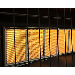Dyna-Glo IR30NMDG-1 30,000 BTU Natural Gas Infrared Wall Heater