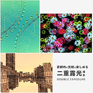 BONZART ZIEGEL (Rose)