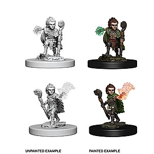 Pathfinder Deep Cuts Unpainted Miniatures: Wave 5: Gnome Male Druid